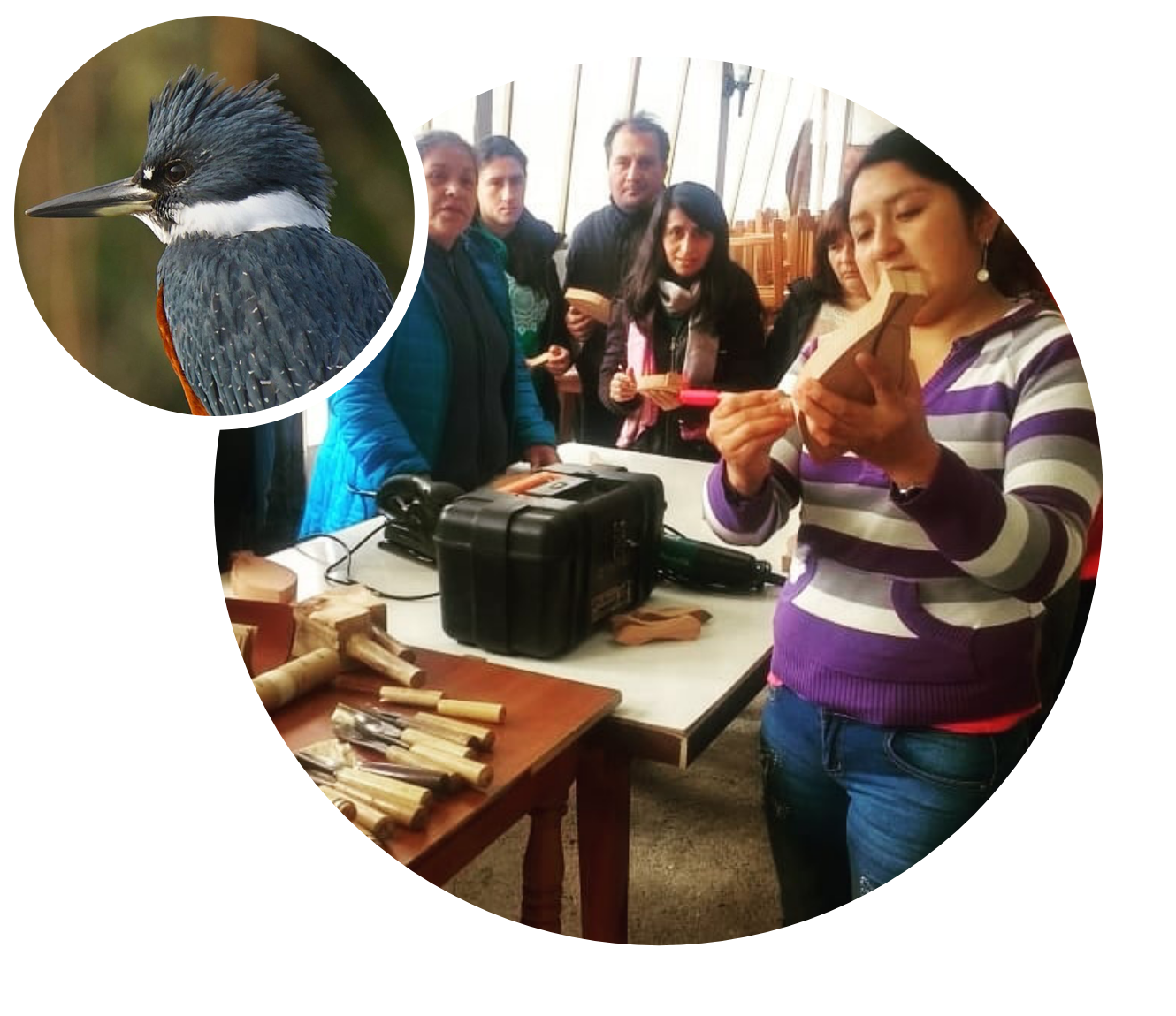 Fundación Manfred Max Neef