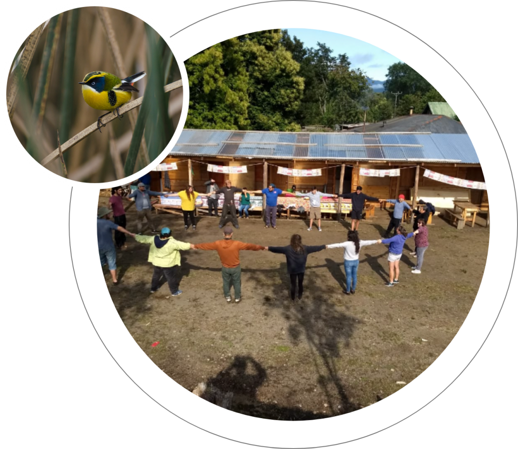 Fundación Manfred Max Neef